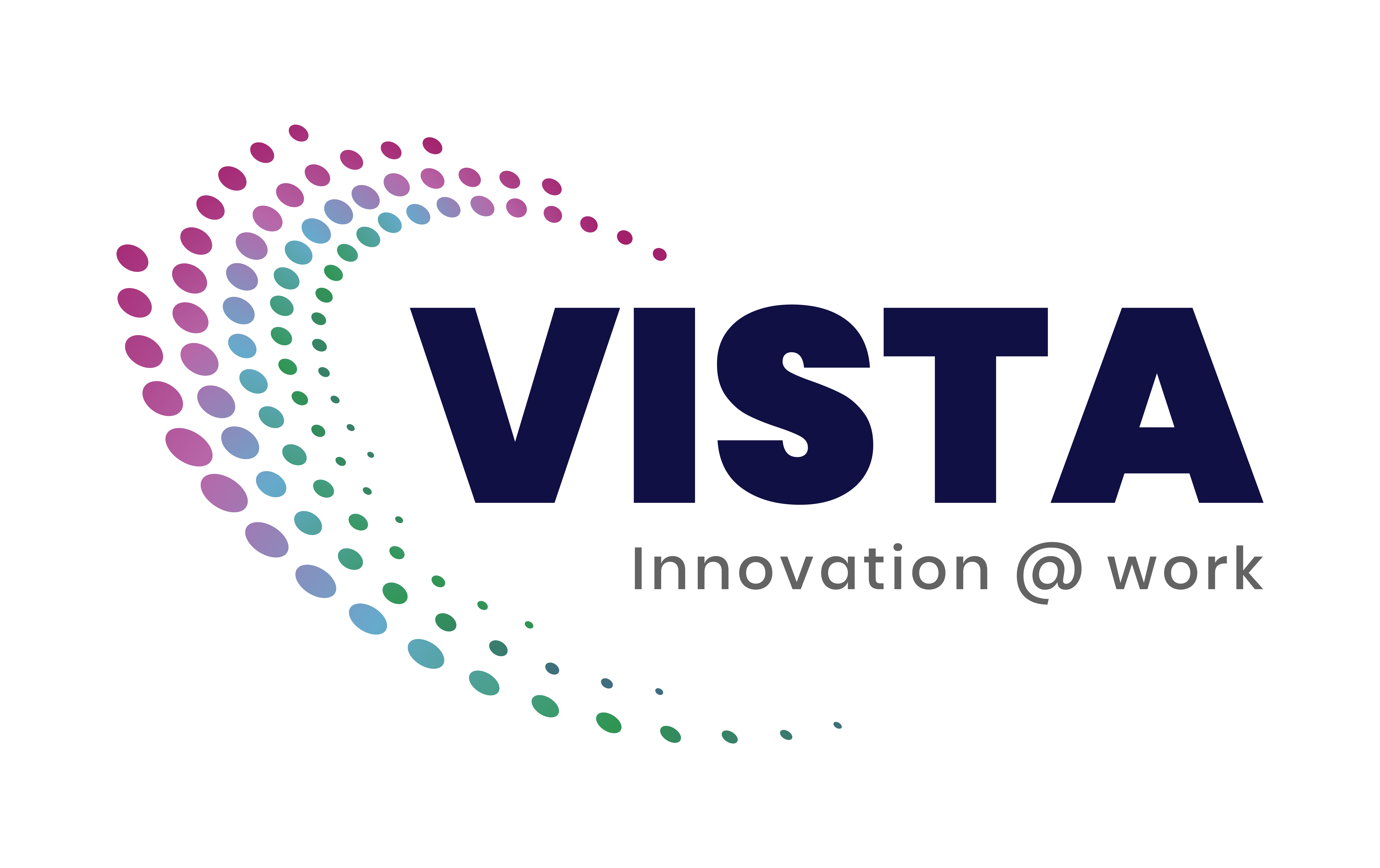 Vista Innovation